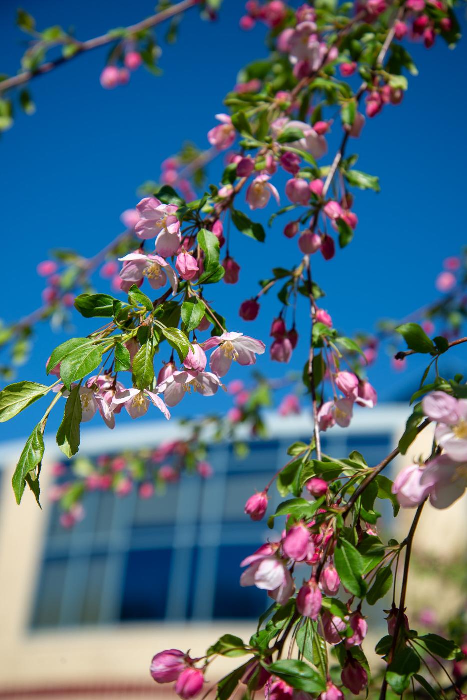 Pop-Up Employer Information Table - Baltimore GAF | Pennsylvania ...