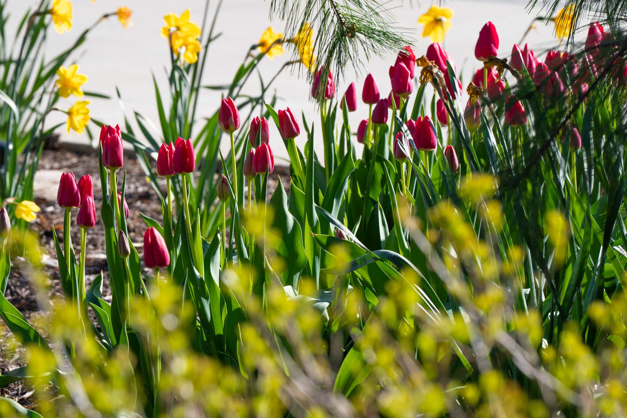 Student Advocacy | Pennsylvania College of Technology