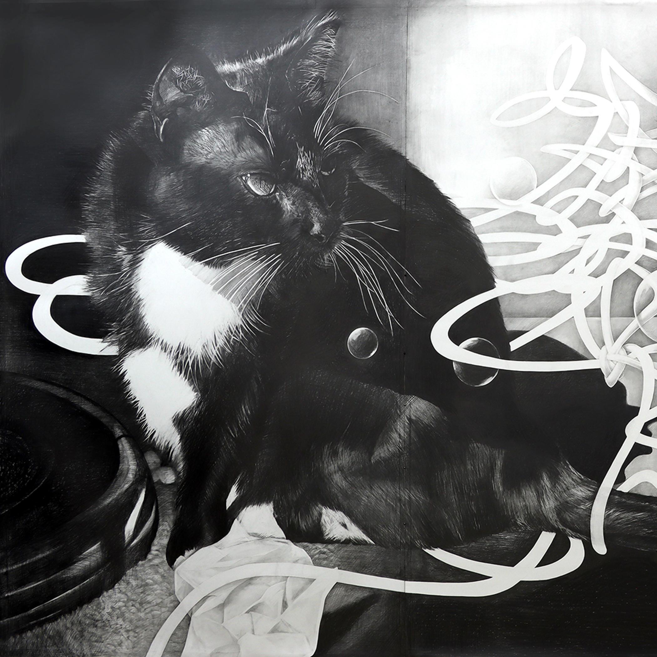 Calligraphy, proverbs move across large graphite canvases ...